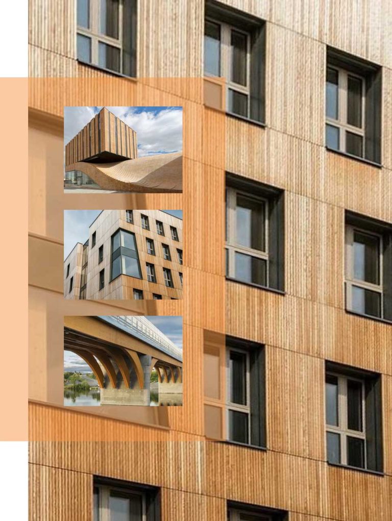 Standard CLT Panel – Berry Wood Clt Panel-Cross Laminated Timber ...