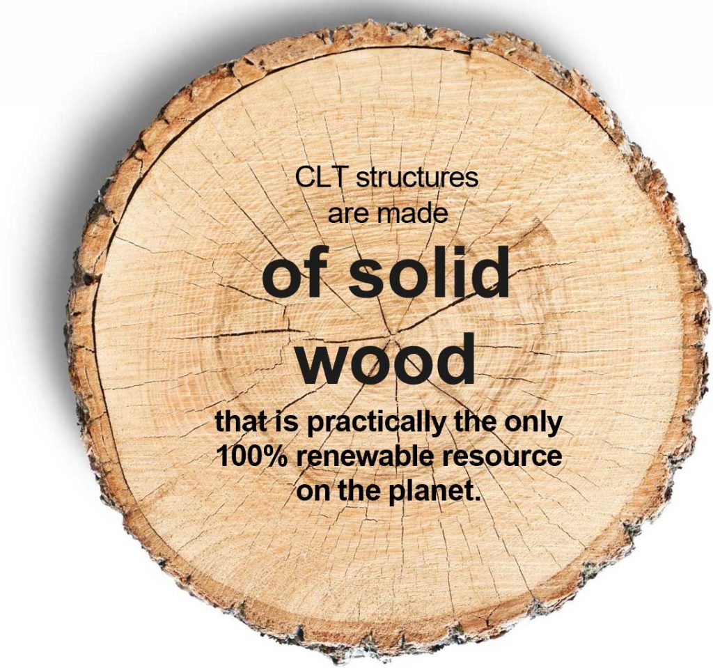 Standard CLT Panel – Berry Wood Clt Panel-Cross Laminated Timber ...