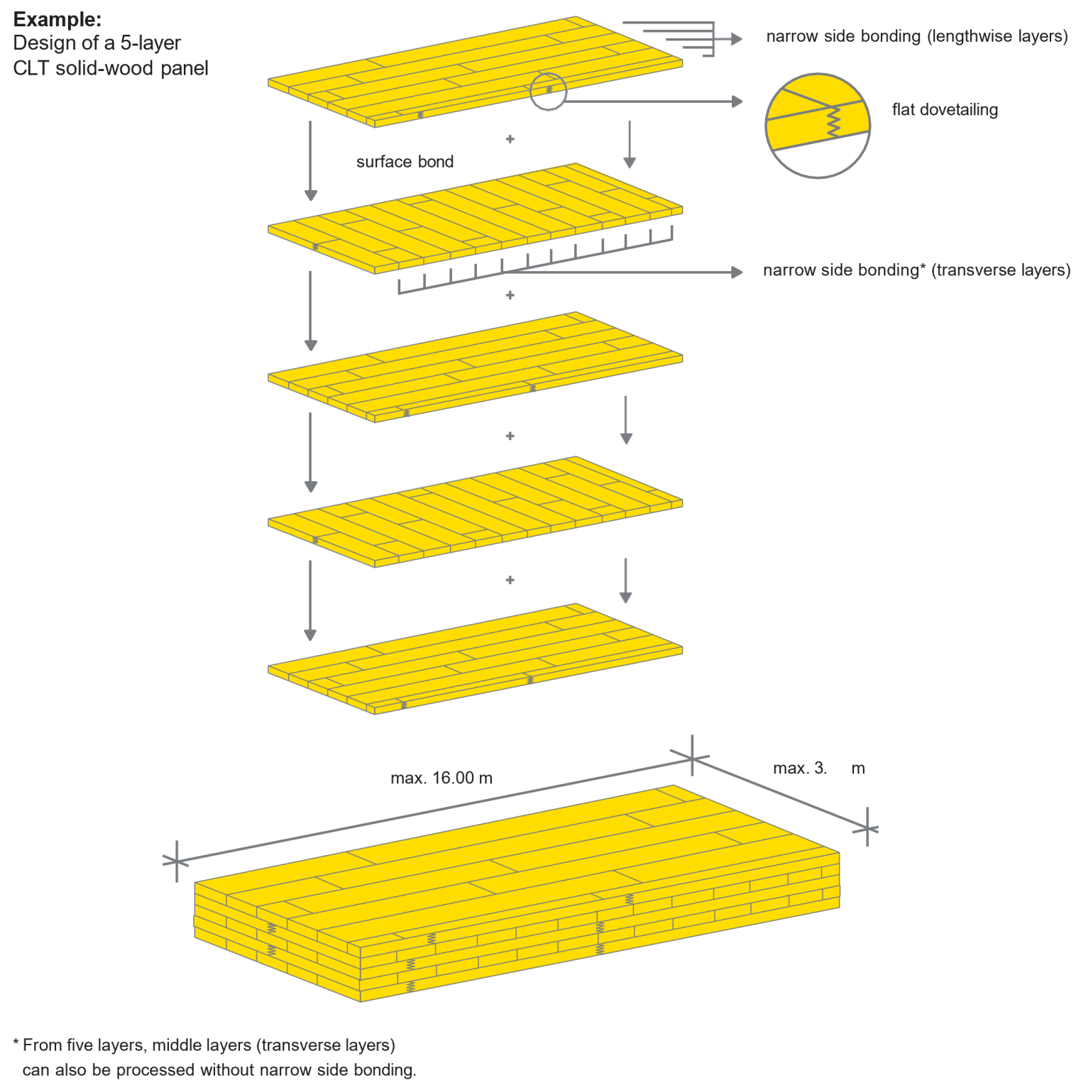Standard CLT Panel – Berry Wood Clt Panel-Cross Laminated Timber ...