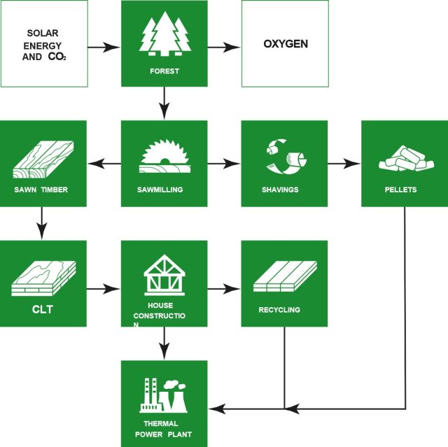 Standard CLT Panel – Berry Wood Clt Panel-Cross Laminated Timber ...